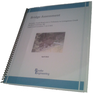 Tips for Writing an Engineering Project Report